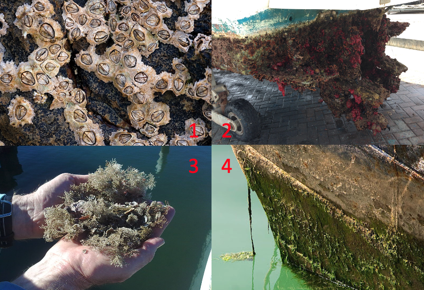 Why fouling doesn’t have to be a drag on your boating