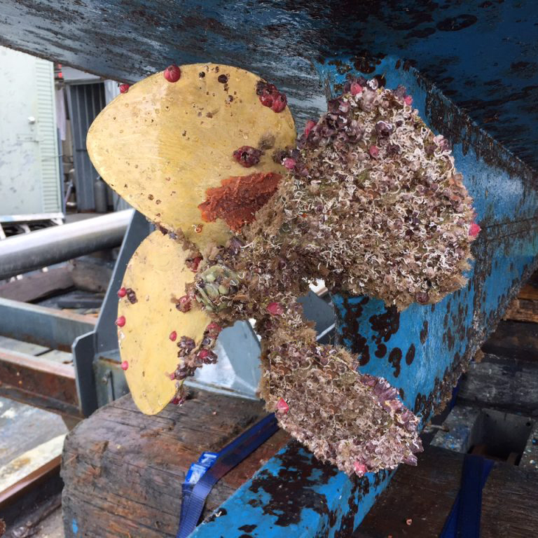 Antifouling and Foul Release coatings
