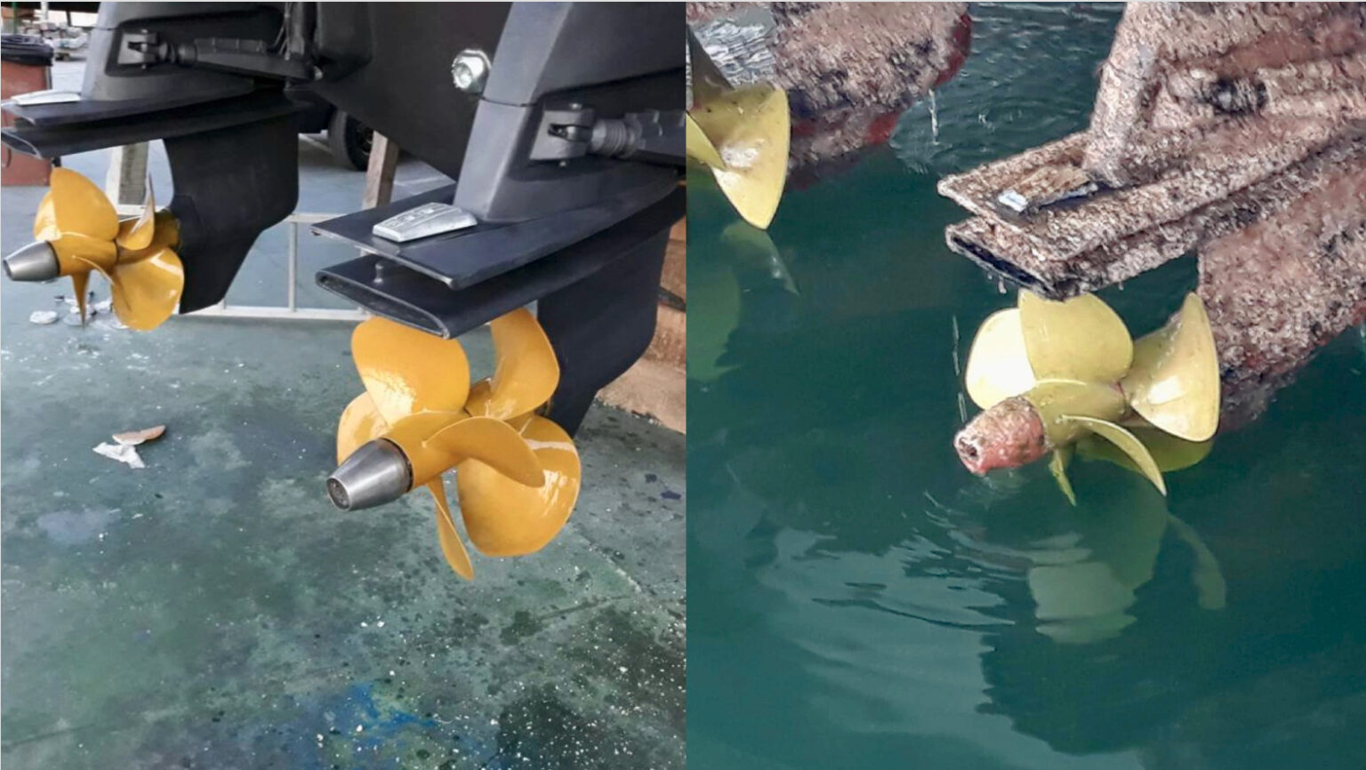 Impact of Water Conditions on Marine Fouling